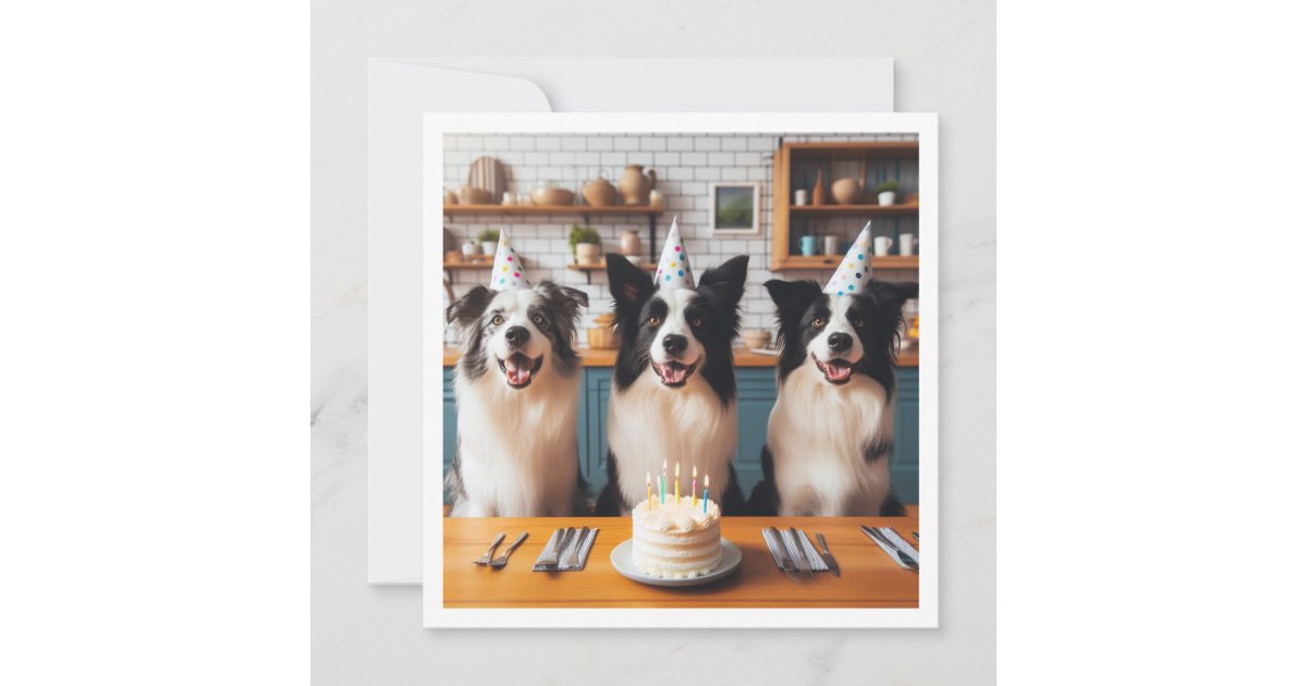 Border Collies, Dog birthday card, Dog Invitation | Zazzle