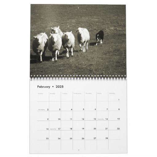 Border Collies Galore Calendar | Zazzle