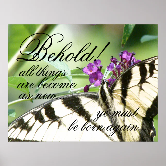 Born Again Butterfly Bible Christian Poster | Zazzle