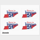 Born in Tennessee State Symbols Volunteer State Rectangular Sticker ...