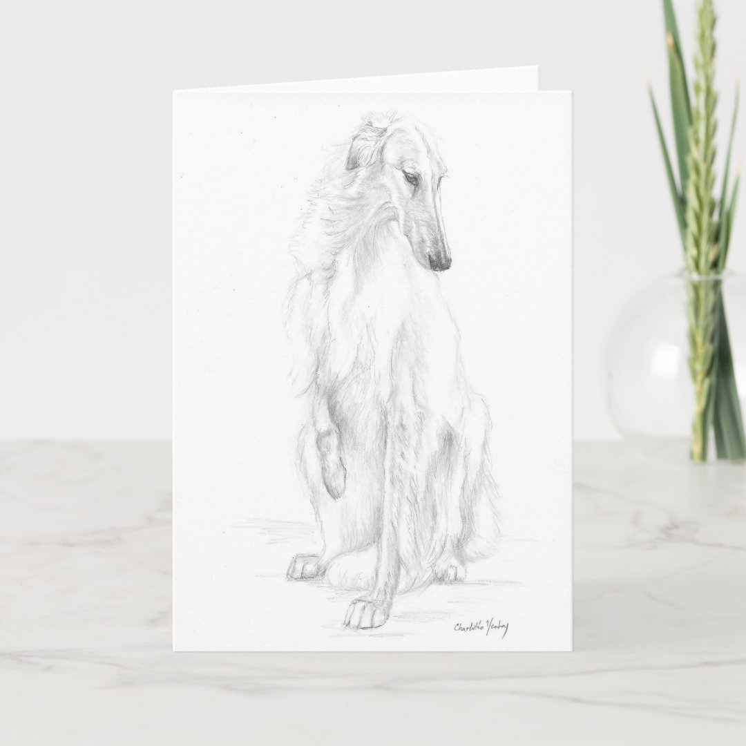 Borzoi Pencil Drawing Dog Art Greeting Card | Zazzle