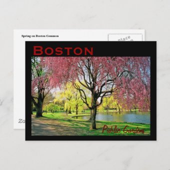 Boston Common Postcard - Customized | Zazzle