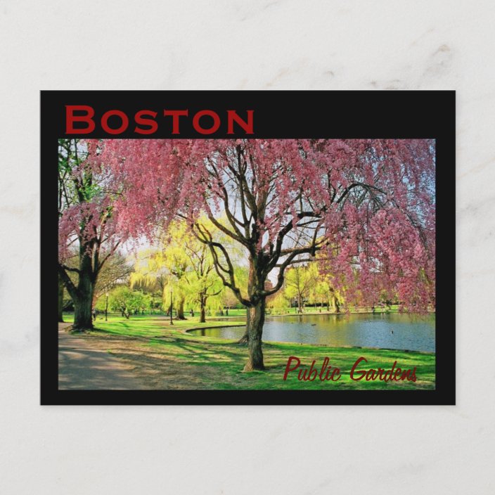 Boston Common Postcard - Customized | Zazzle.com