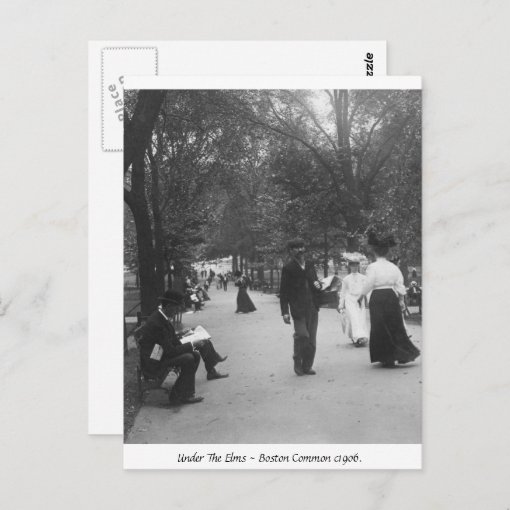 Boston Common, Vintage America 1906 Postcard | Zazzle