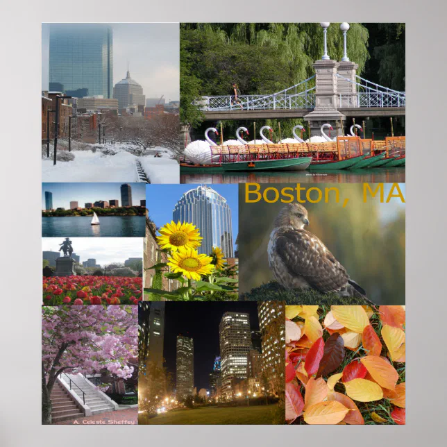 Boston, Massachusetts Photo Collage Poster | Zazzle