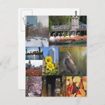 Boston, Massachusetts Postcard | Zazzle