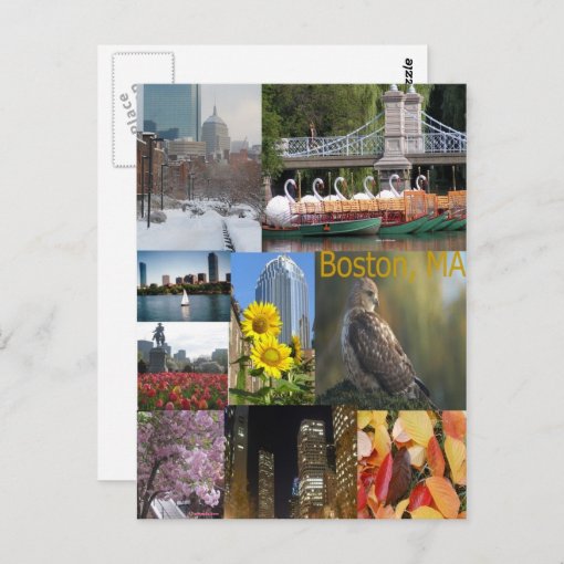 Boston, Massachusetts Postcard | Zazzle