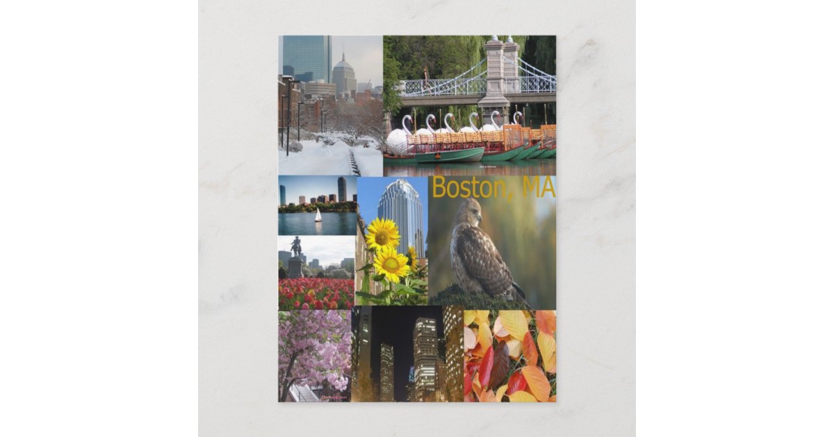 Boston, Massachusetts Postcard | Zazzle