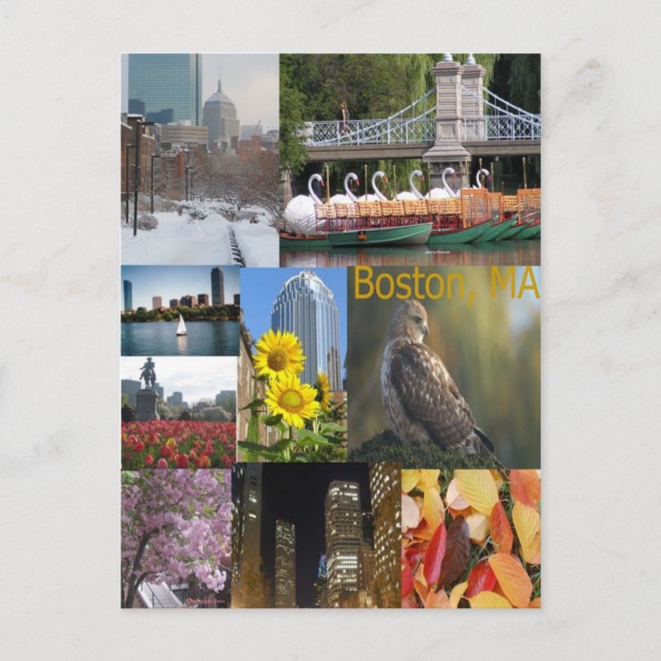 Boston, Massachusetts Postcard | Zazzle