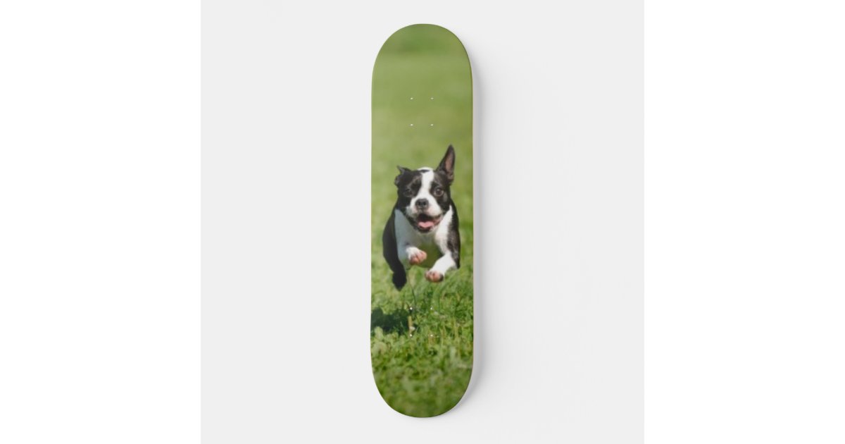 Boston Running Skateboard | Zazzle