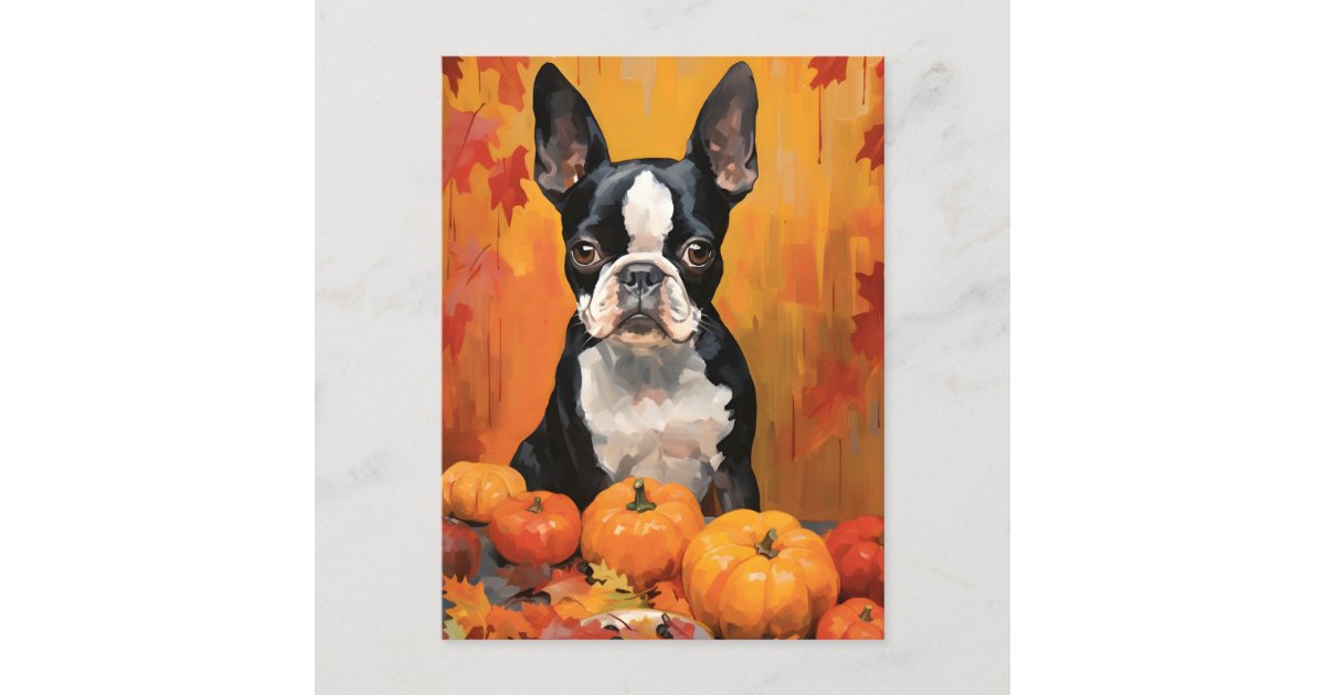 Boston Terrier Autumn Thanksgiving Postcard | Zazzle
