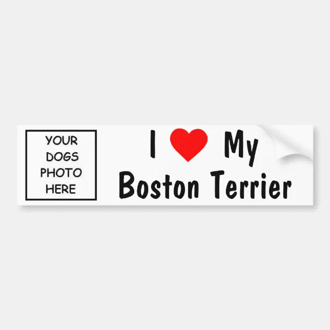 Boston Terrier Bumper Sticker | Zazzle