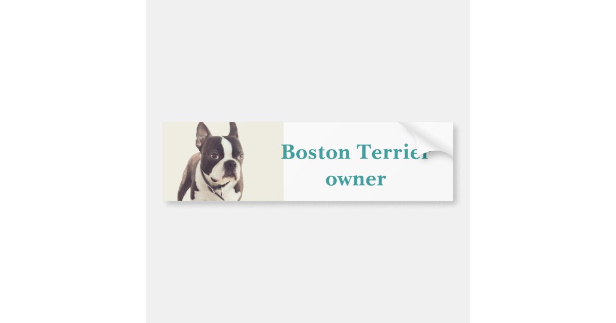 boston terrier bumper sticker | Zazzle