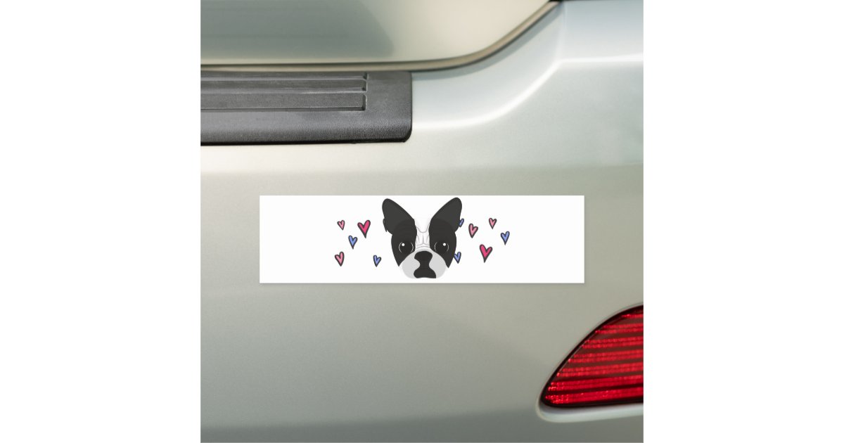 " Boston Terrier" car bumper decal. Magnet | Zazzle
