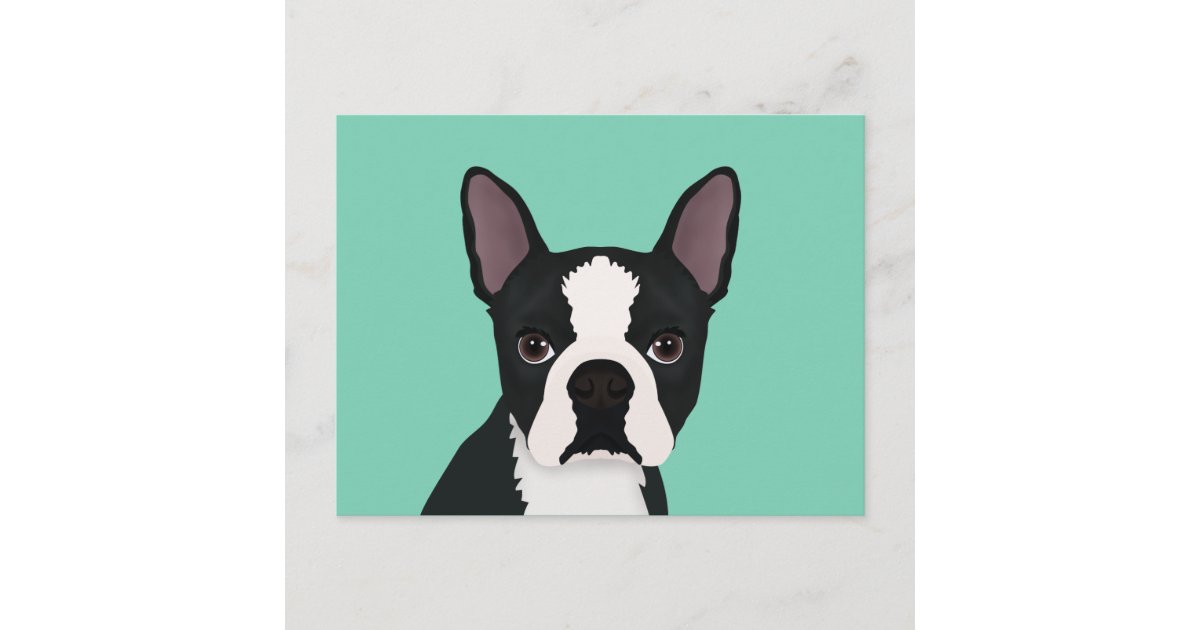 boston terrier cartoon postcard | Zazzle