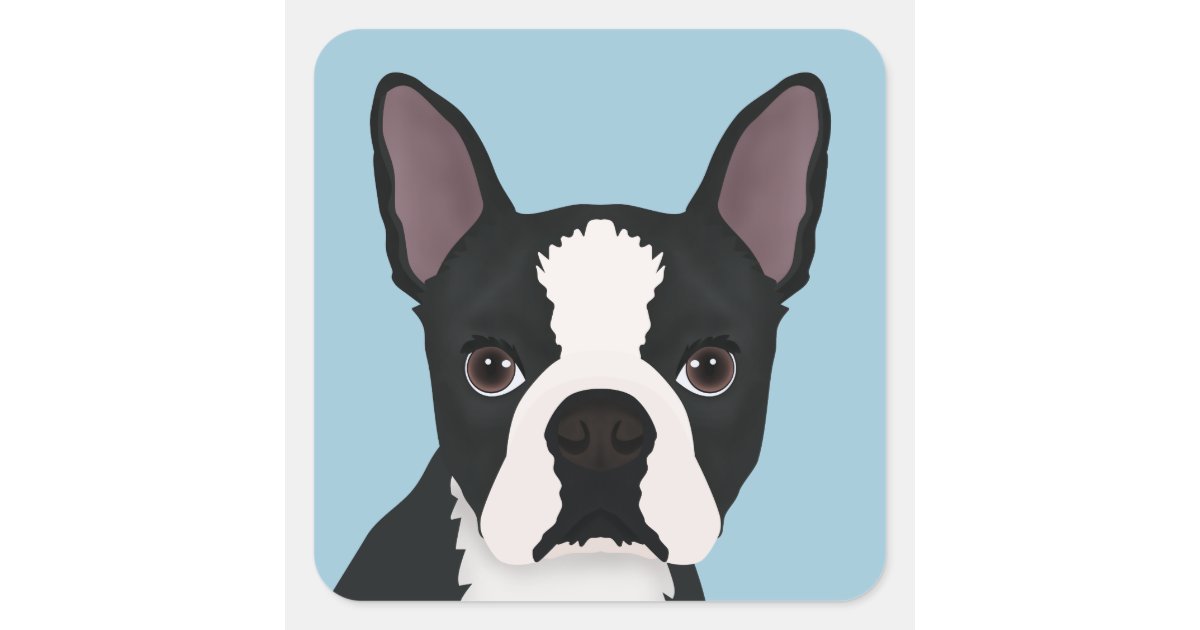 boston terrier cartoon square sticker | Zazzle