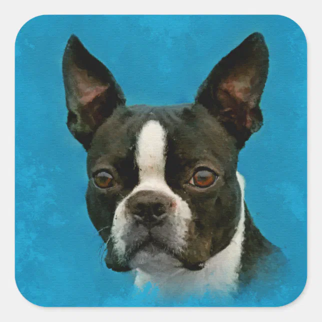 Boston Terrier dog Square Sticker | Zazzle
