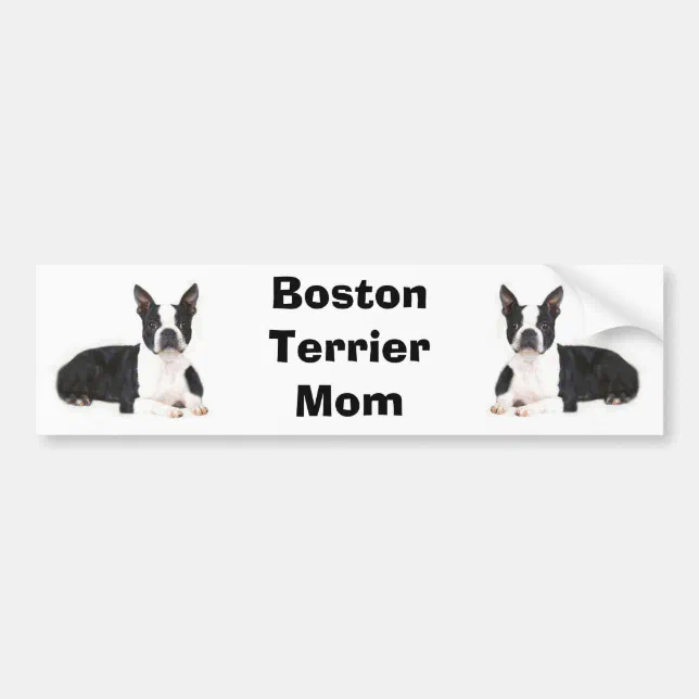 Boston Terrier Mom Bumper Sticker | Zazzle