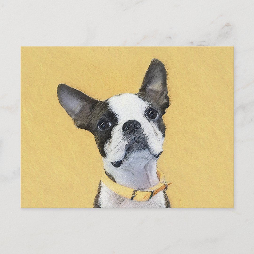 Boston Terrier Painting - Cute Original Dog Art Postcard | Zazzle