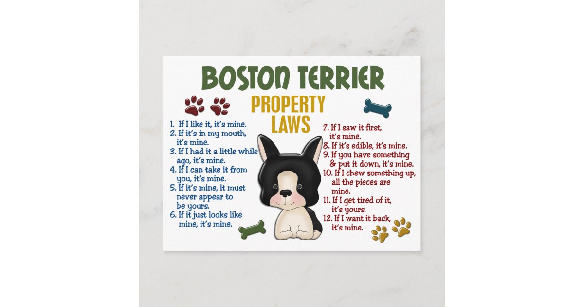 Boston Terrier Property Laws 4 Postcard | Zazzle