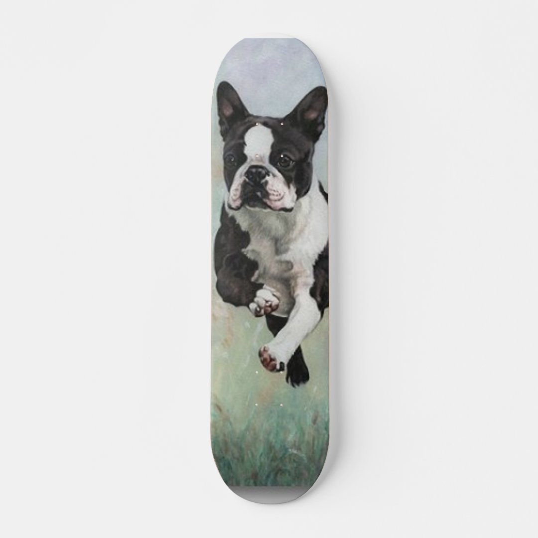 Boston Terrier Skateboard | Zazzle