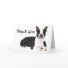 Boston Terrier Thank You Card | Zazzle