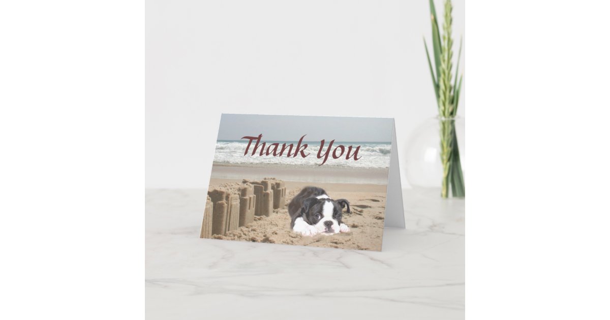 Boston Terrier Thank You Card Sandcastles | Zazzle