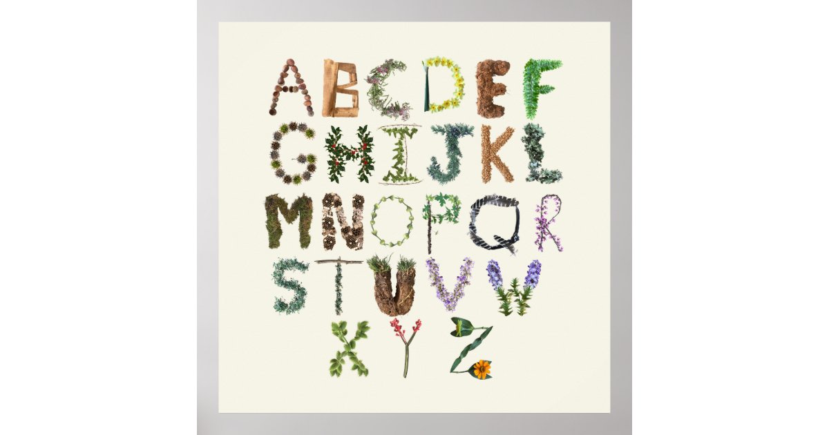Botanical Alphabet - Nature ABC Phonetic Poster | Zazzle