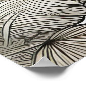 Botanical Black Rainforest Line Drawing Poster | Zazzle