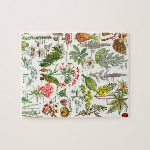 Botanical Illustrations Jigsaw Puzzle | Zazzle