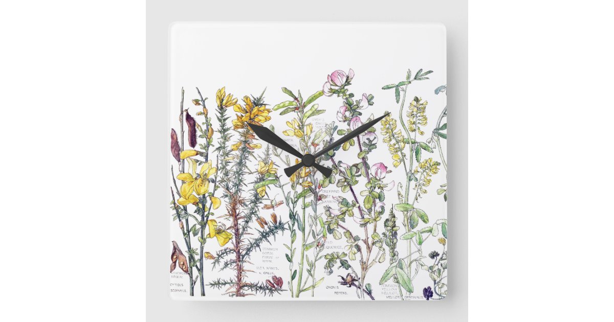 Botanical Wildflower Flowers Meadow Wall Clock | Zazzle