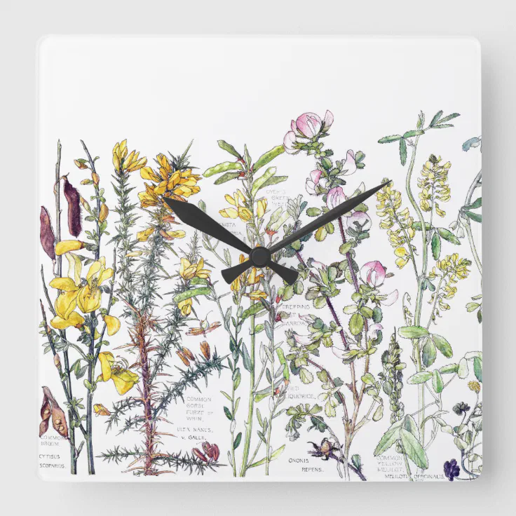 Botanical Wildflower Flowers Meadow Wall Clock | Zazzle