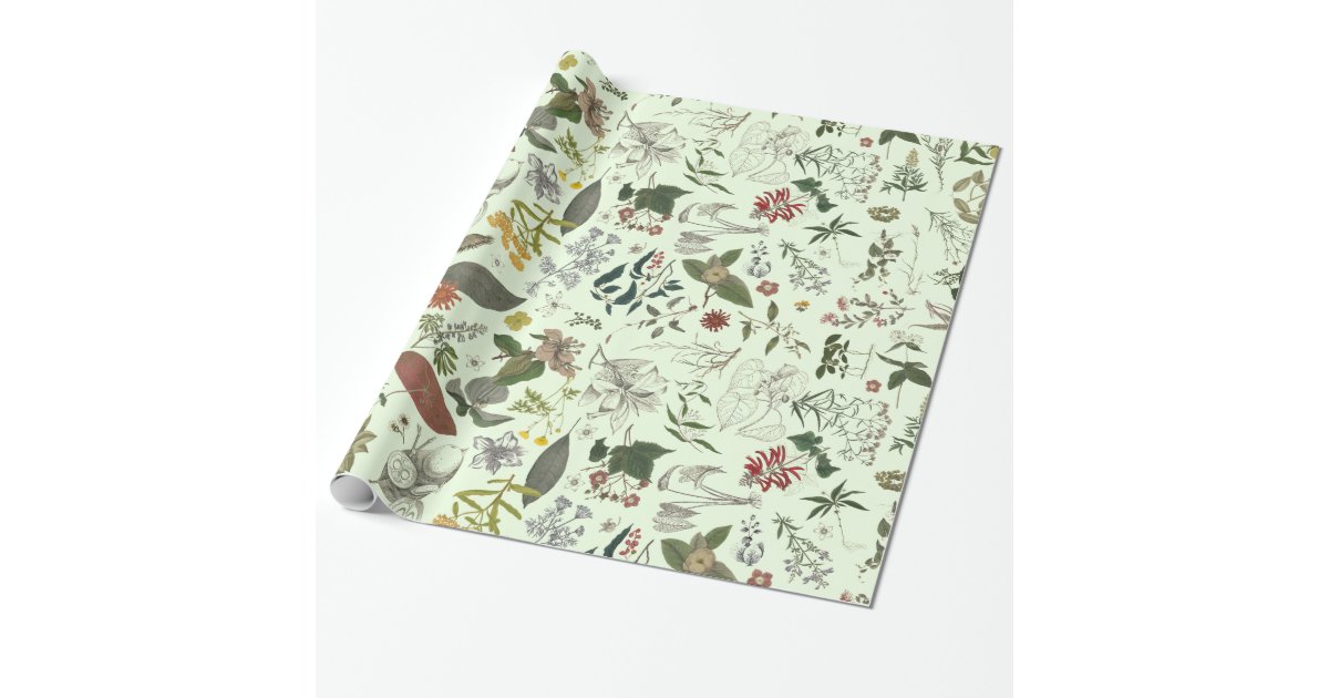 Botany pattern 1 wrapping paper | Zazzle