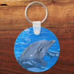 Bottlenose Dolphin Keychain | Zazzle