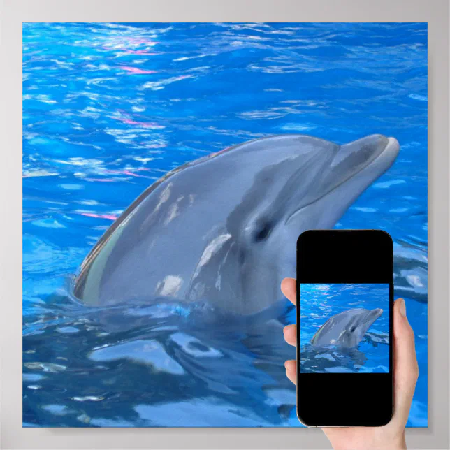 Bottlenose Dolphin Print | Zazzle