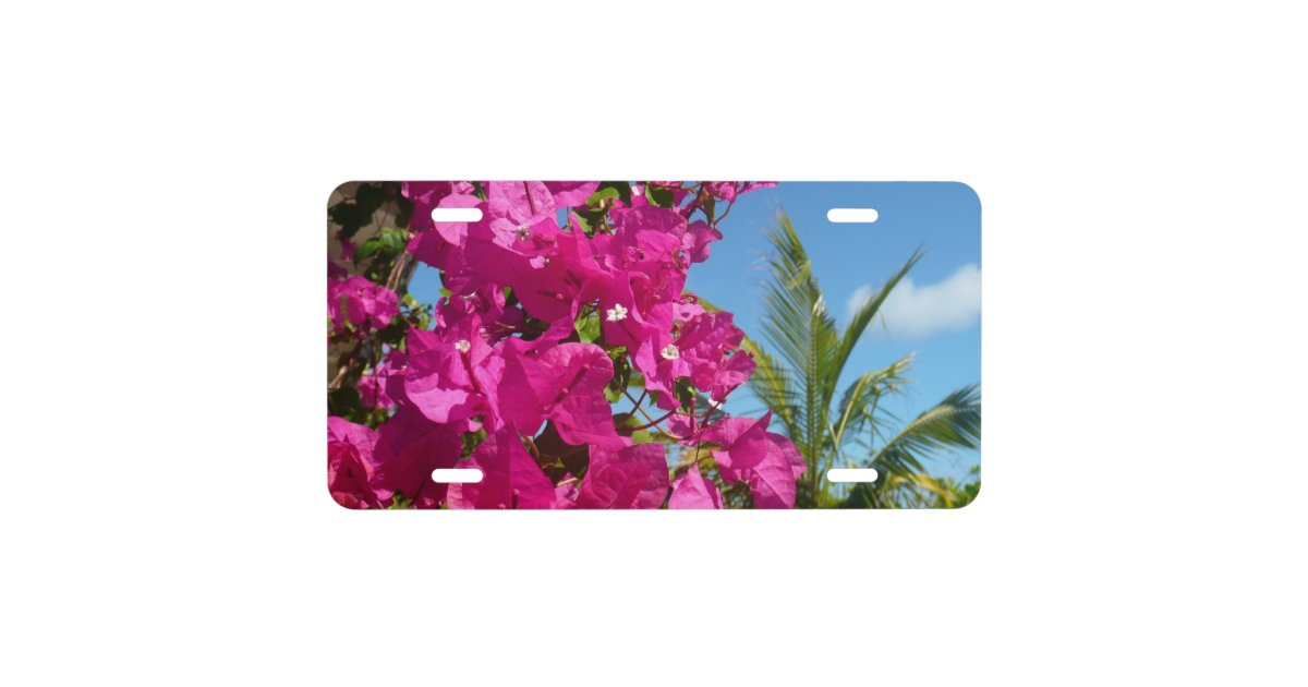Bougainvillea and Palm Tree Tropical Nature Scene License Plate | Zazzle