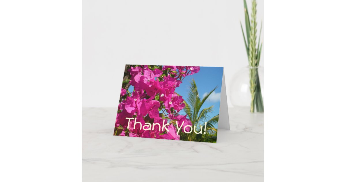 Bougainvillea and Palm Tree Tropical Nature Scene Thank You Card | Zazzle
