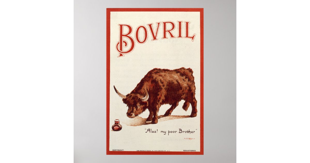 Bovril Bull, 1900 Poster | Zazzle