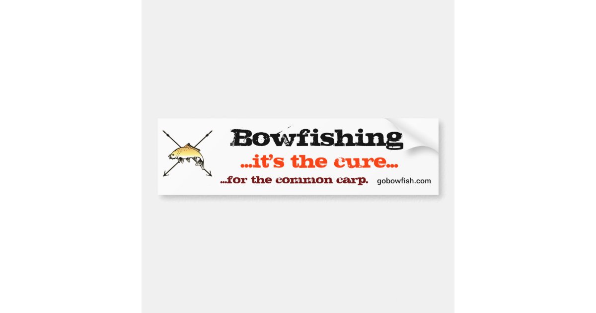 Bowfishing, the cure bumper sticker | Zazzle