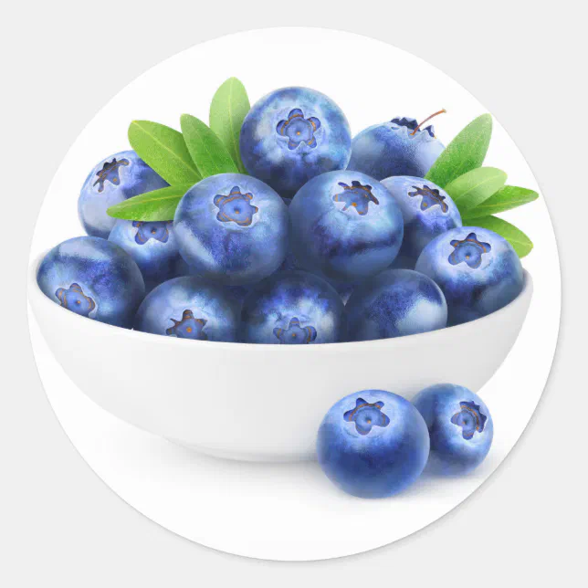 Bowl of blueberries classic round sticker | Zazzle