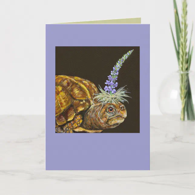 box turtle card | Zazzle