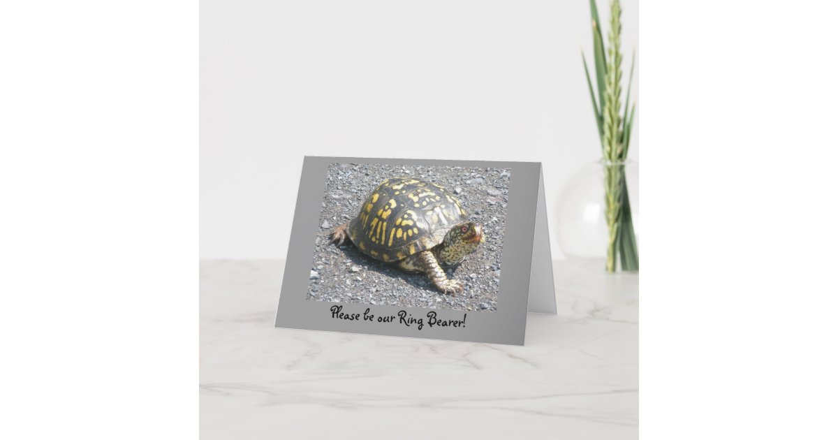 Box Turtle Ring Bearer Request Card | Zazzle