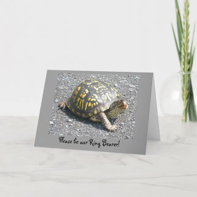 Box Turtle Ring Bearer Request Card | Zazzle