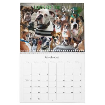Boxer Dog Calendar, 12 Months of a Boxer Dogs Life Calendar | Zazzle