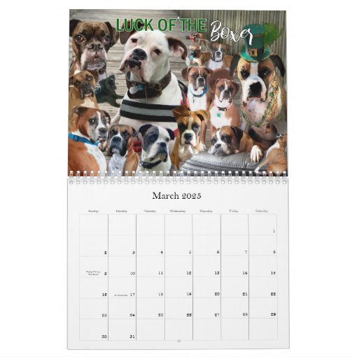 Boxer Dog Calendar, 12 Months of a Boxer Dogs Life Calendar | Zazzle