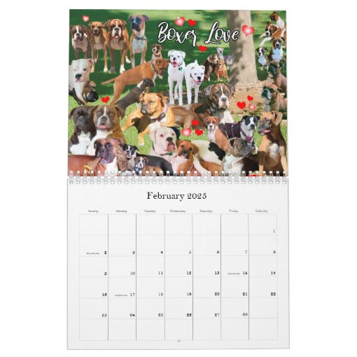 Boxer Dog Calendar, 12 Months of a Boxer Dogs Life Calendar | Zazzle