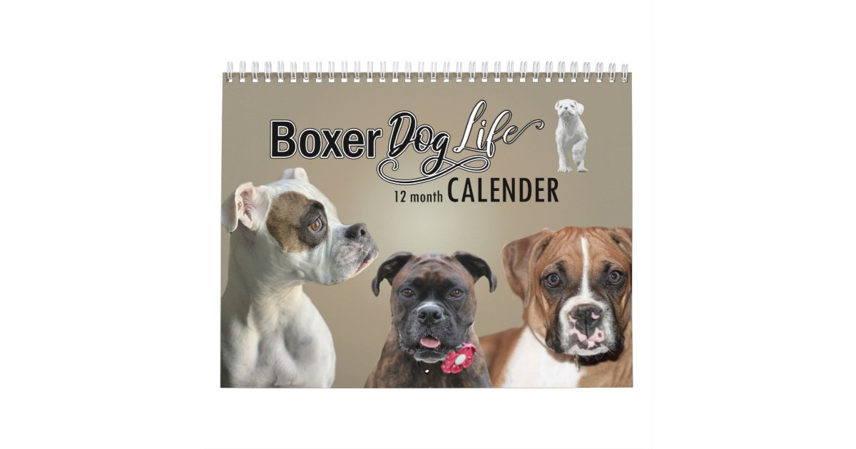 Boxer Dog Calendar, 12 Months of a Boxer Dogs Life Calendar | Zazzle