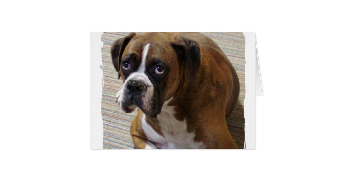 Boxer Dog Greeting Card | Zazzle