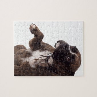 boxer dog jigsaw puzzle | Zazzle