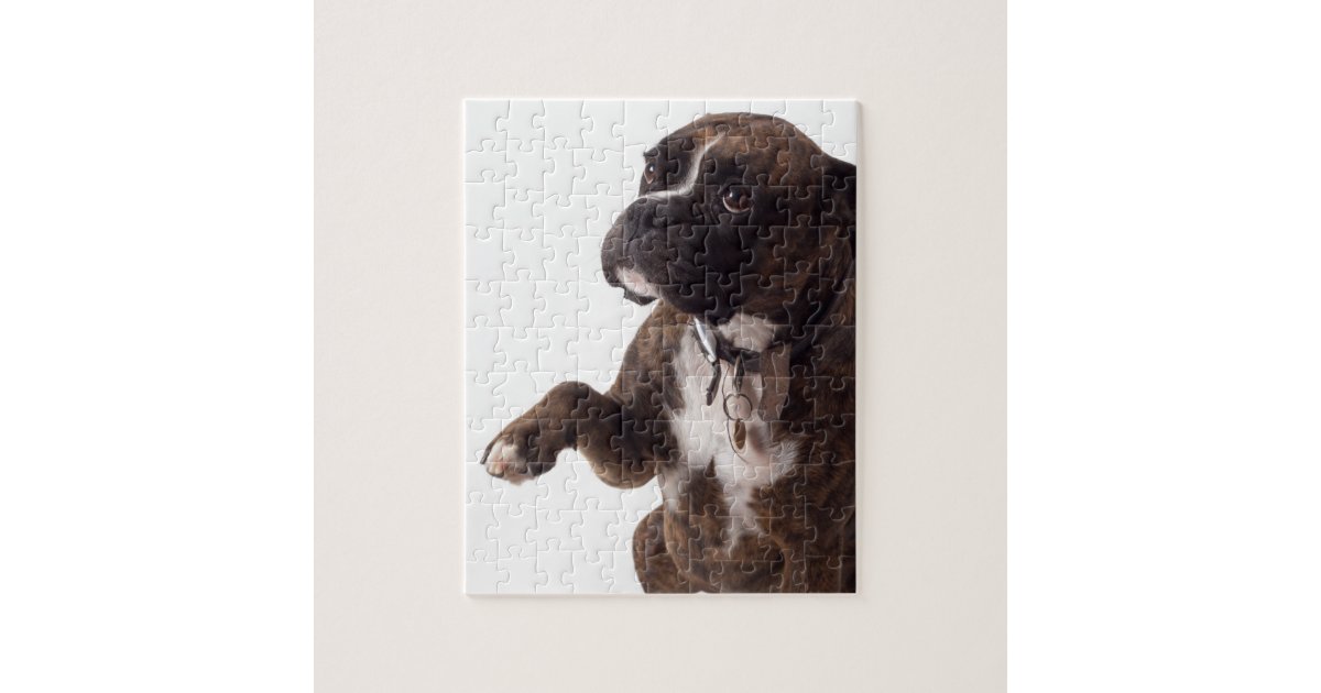boxer dog jigsaw puzzle | Zazzle